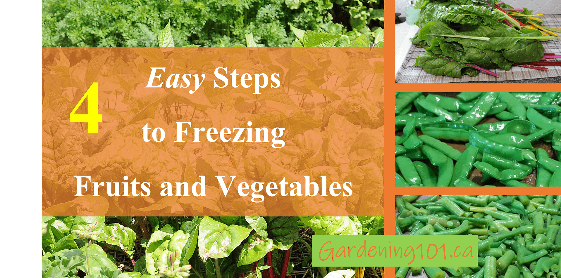 Four Easy Steps to Freezing Fruits and Vegetables - Gardening101.ca